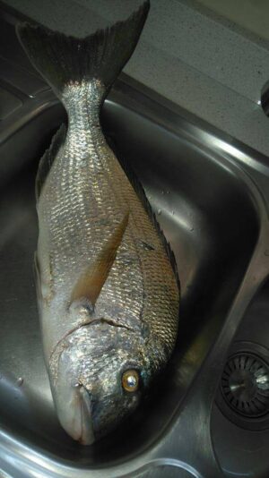 Mrs Moodley's Fish Curry Recipe - Durban Curry Recipes